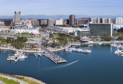 About | RAPS Convergence 2025