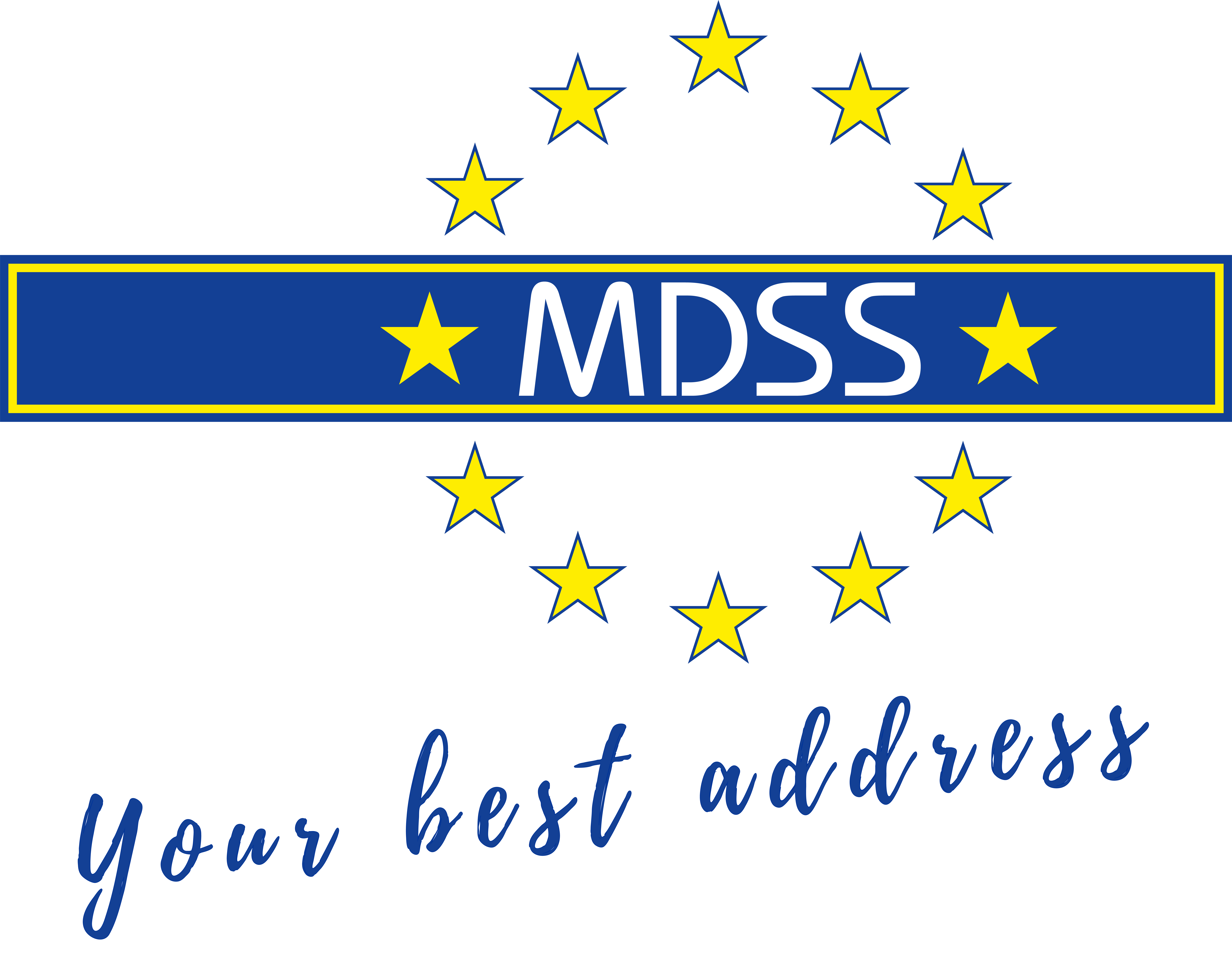 MDSS GmbH | RAPS